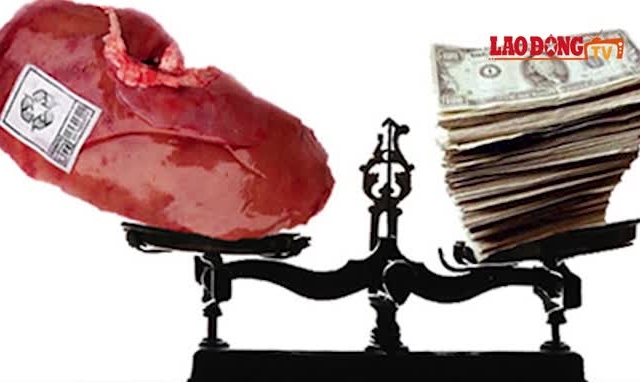 Giao ước ngầm trong “trại” nuôi người lấy thận ở Hà Nội